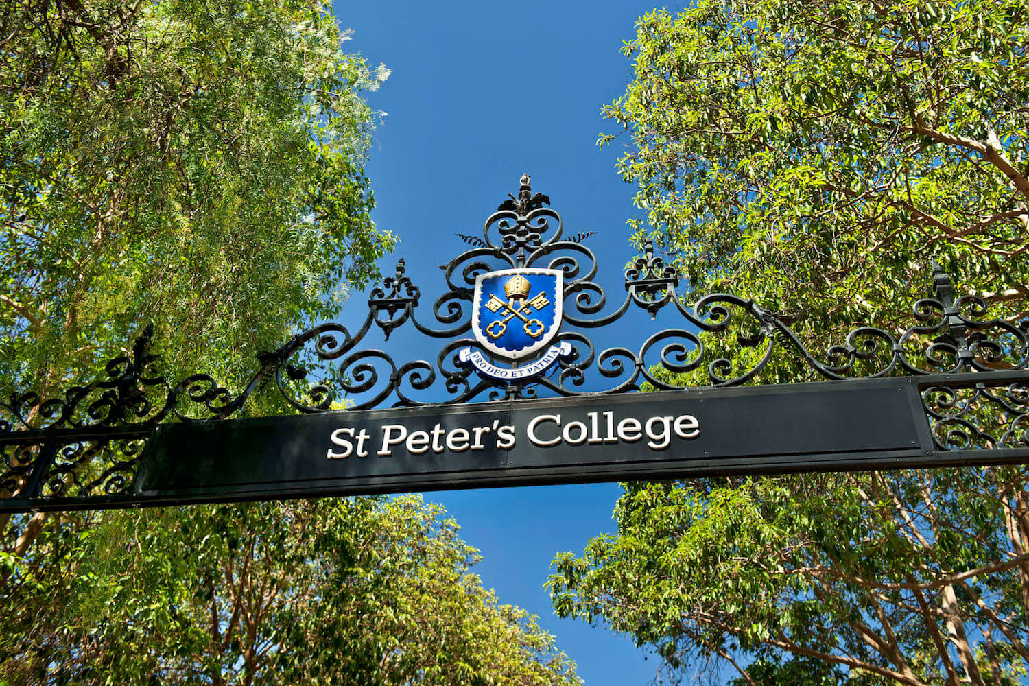 St Peter's College - An exciting start to the year: Emily FitzSimons