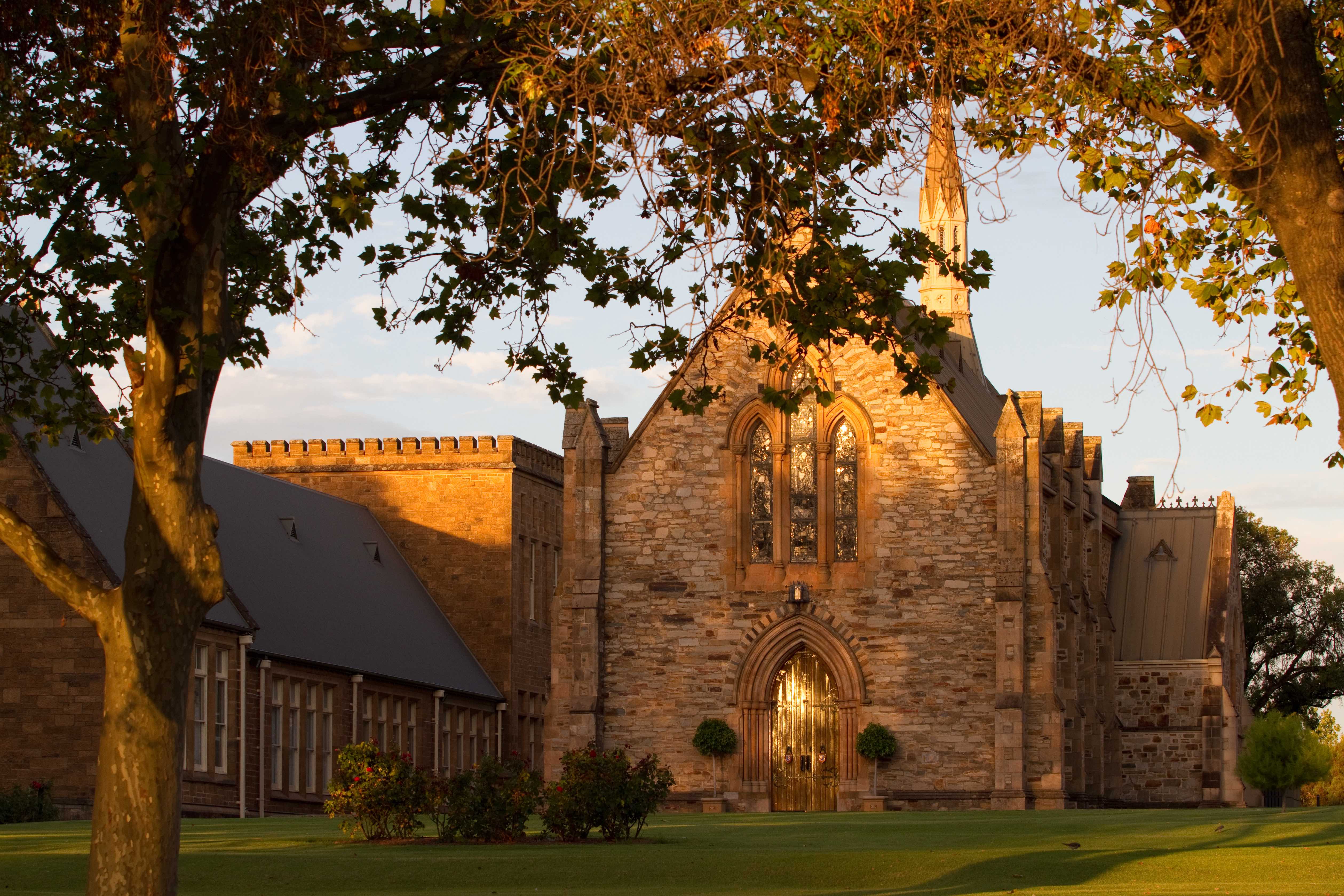 St Peter's College - Jesus is the vine, we are the branches: Father Theo