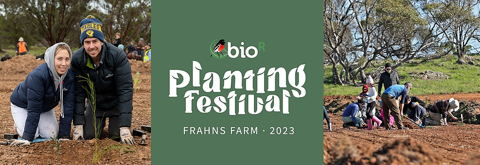 St Peter's College - Community Tree Planting Invitation